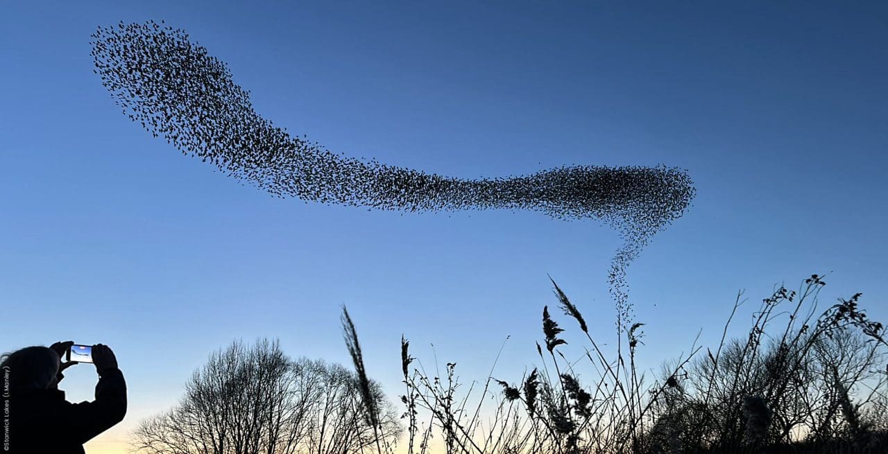 Discover | Stanwick Lakes | Nature, Heritage, Adventure