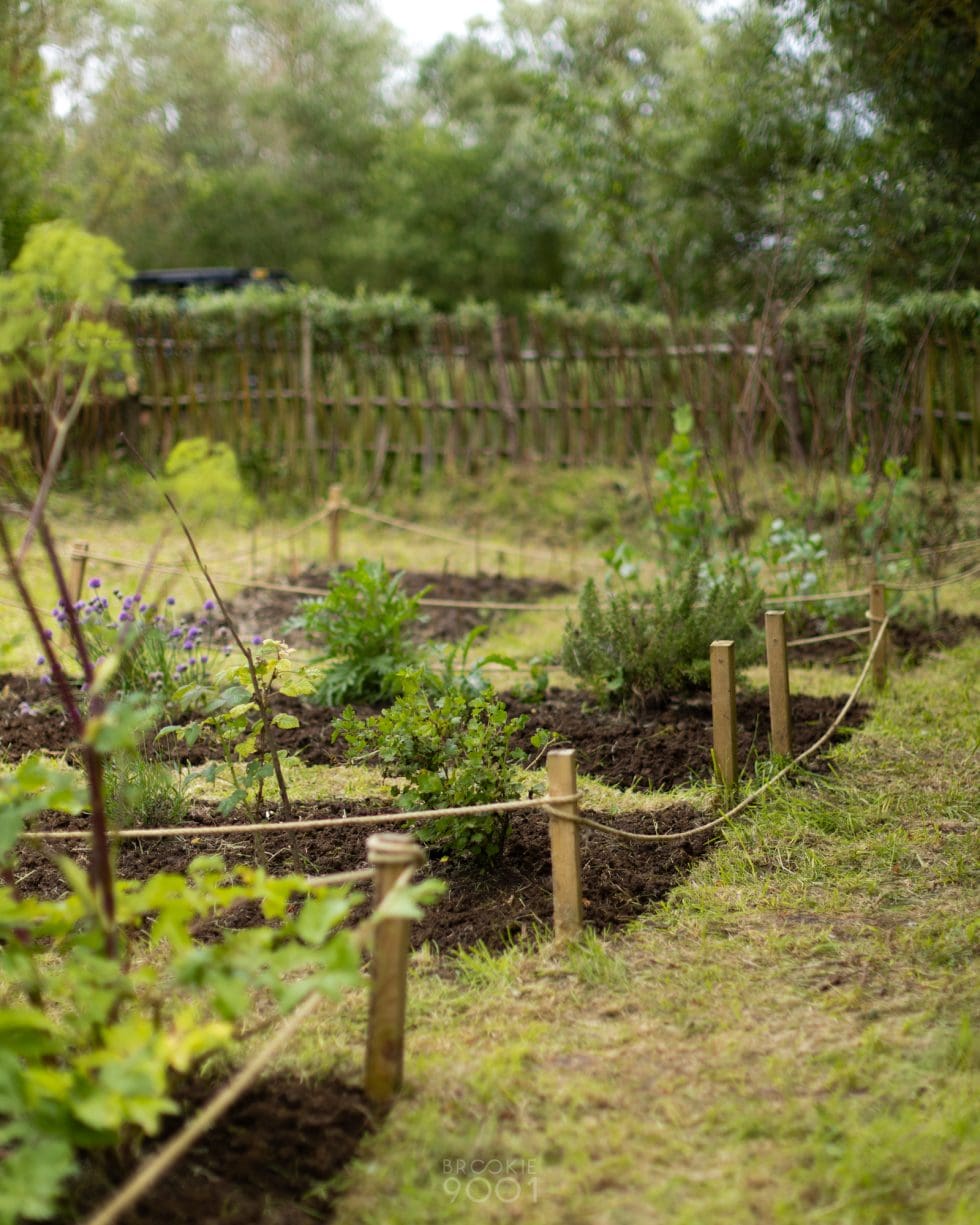 Home | Stanwick Lakes | Nature, Heritage, Adventure