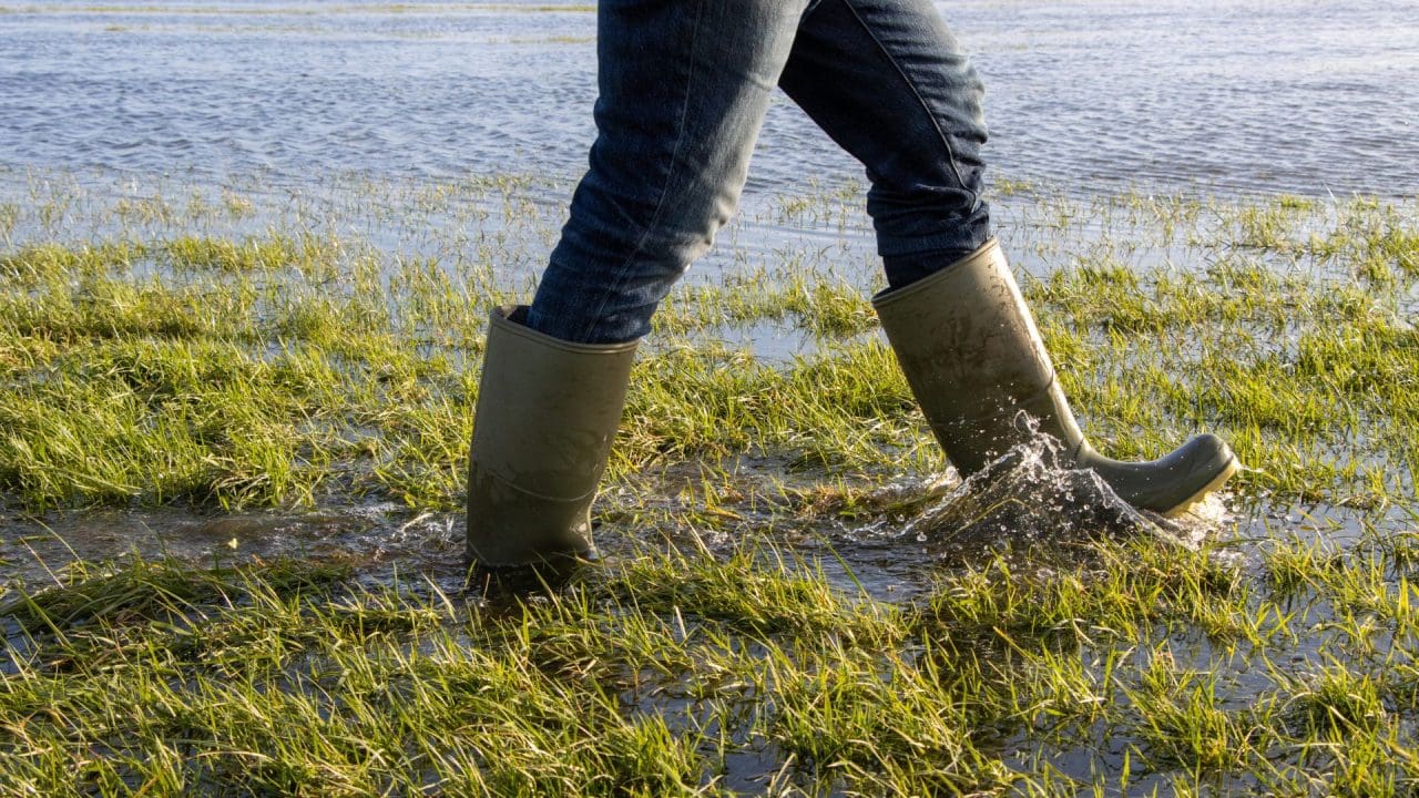 Discover | Stanwick Lakes | Nature, Heritage, Adventure